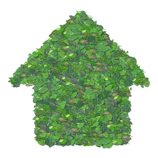 Simple and Effective Steps to Get the Perfect Green Home on a Budget