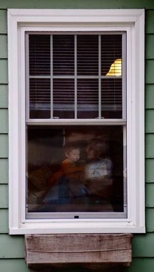 What You Should Know About a Window Screen Replacement?