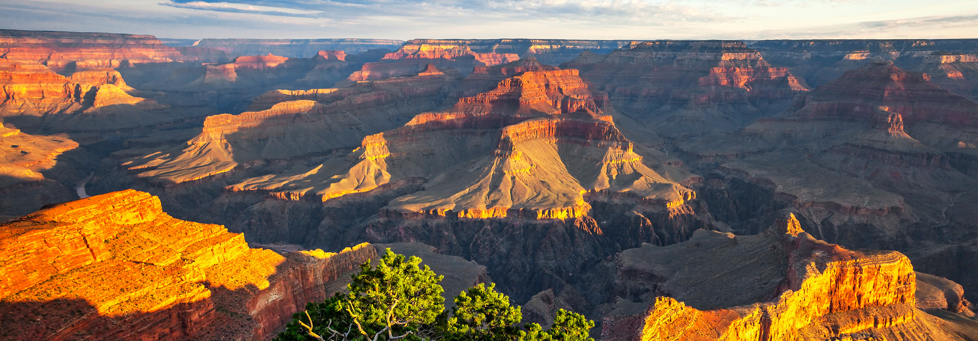 Moving to Arizona? Here Are Some Important Things to Know