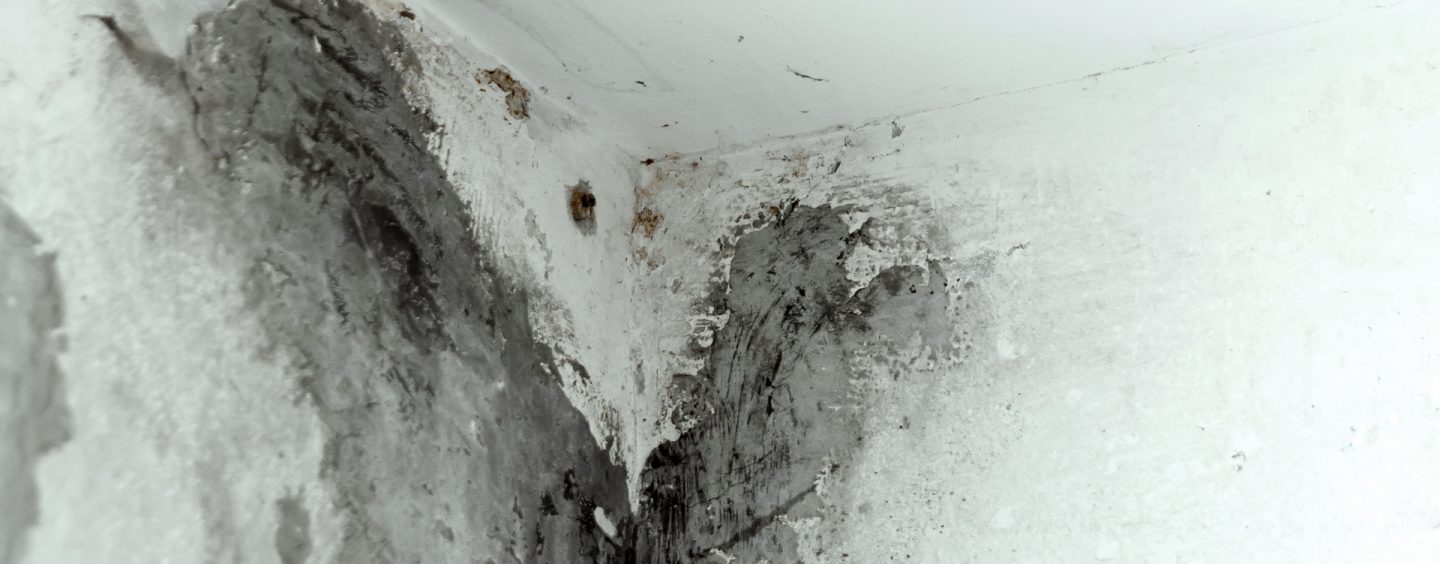 Signs of a Collapsed Sewer Line: Collapsed, Cracked, and Broken Lines