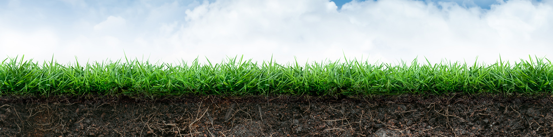 Perc Test Cost Guide for Those Building in a Rural Area