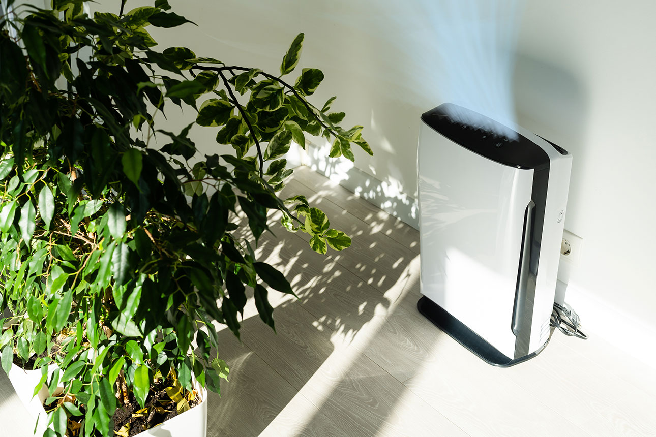 Why Is My House So Humid? Mystery Solved!