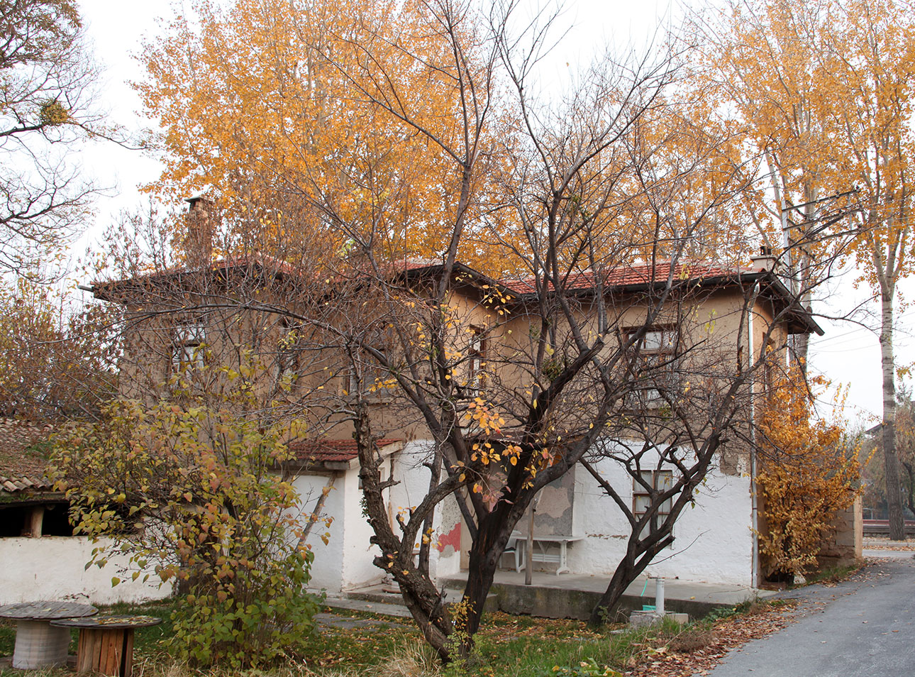 Tree Falls On House. How to address this issue.
