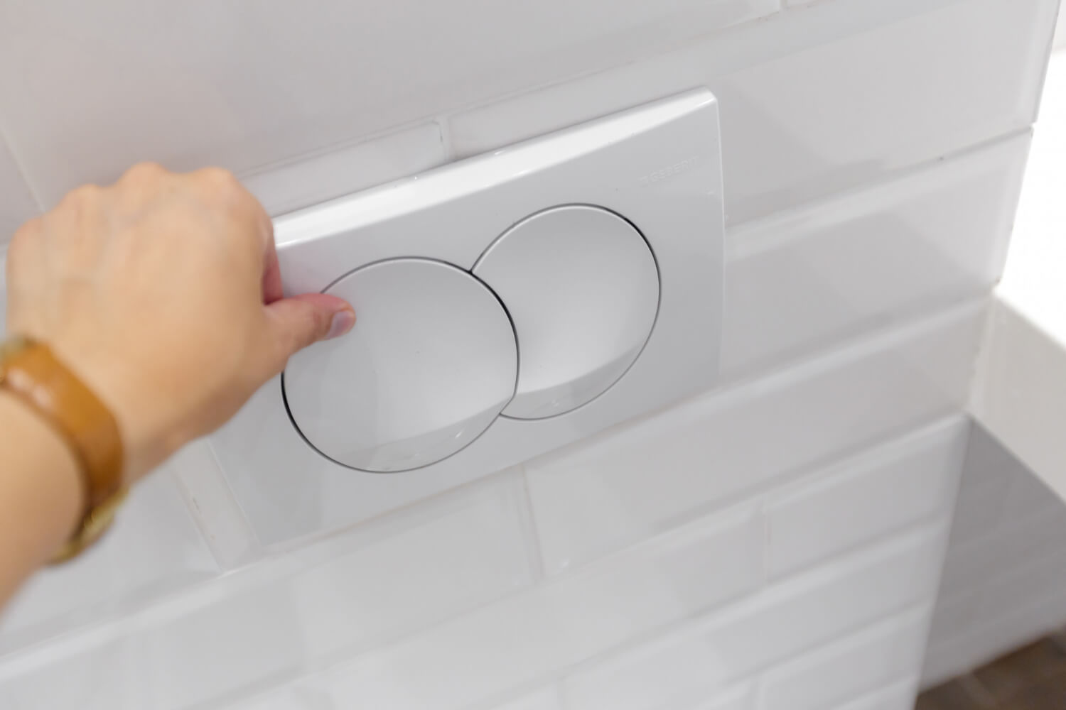 Types of Toilet Flush Systems: Guide to Flushing Mechanisms
