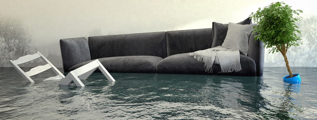 Water Damage Prevention: Tips Every Homeowner Must Know