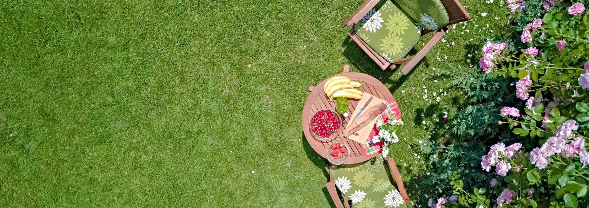 Gardening guide: The final checklist for your garden