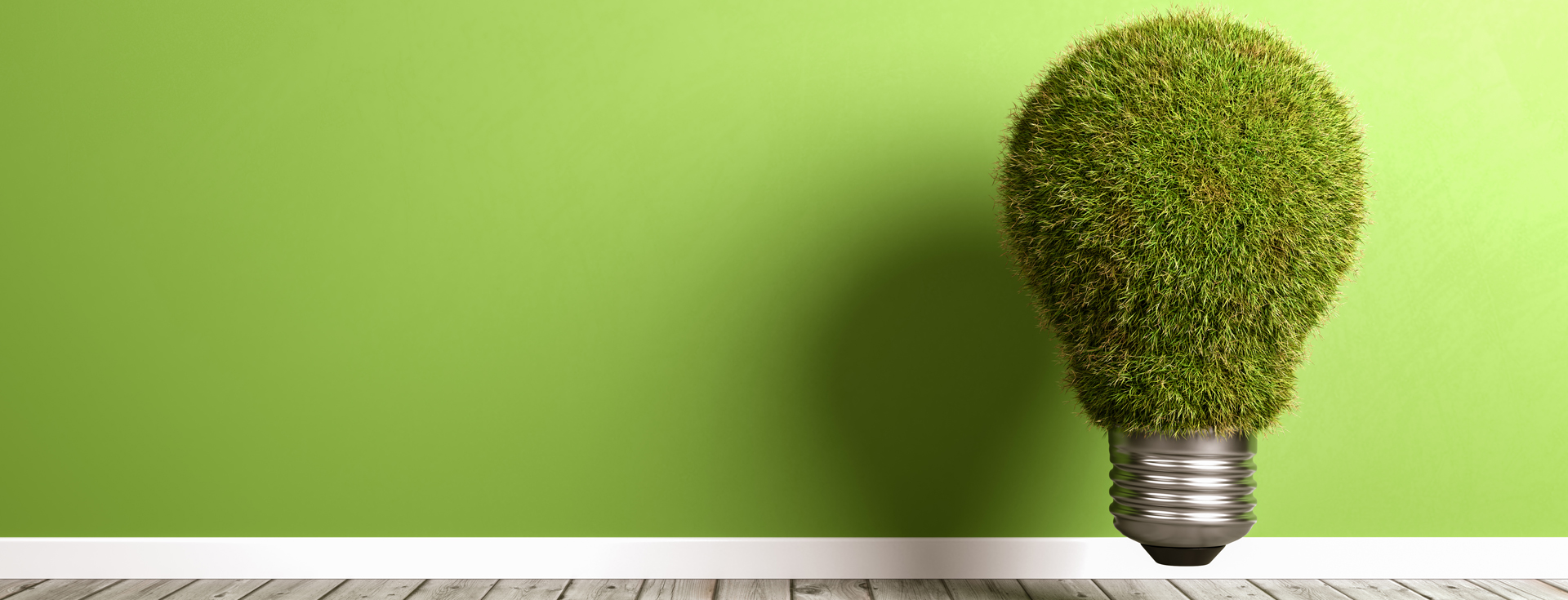 Easy-to-follow, eco-friendly guide for your home