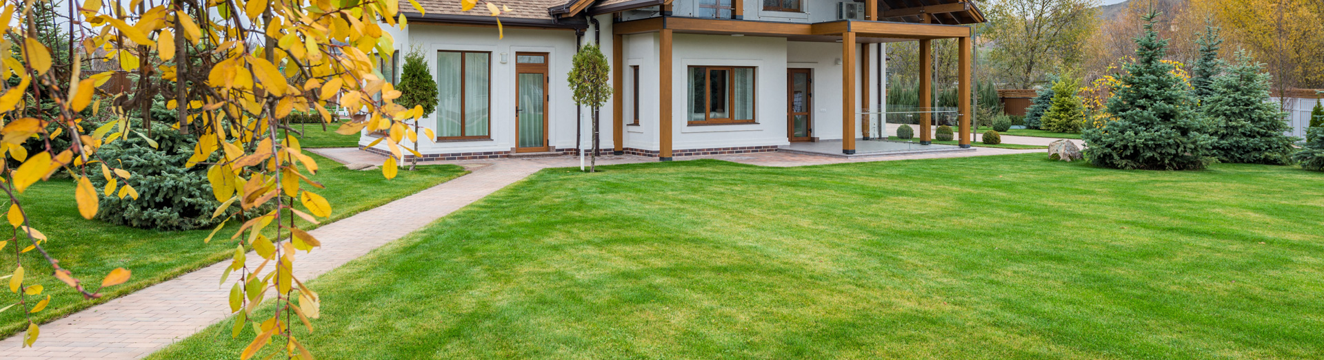 Sod Installation: Complete Info on Cost & Steps to Lay Sod