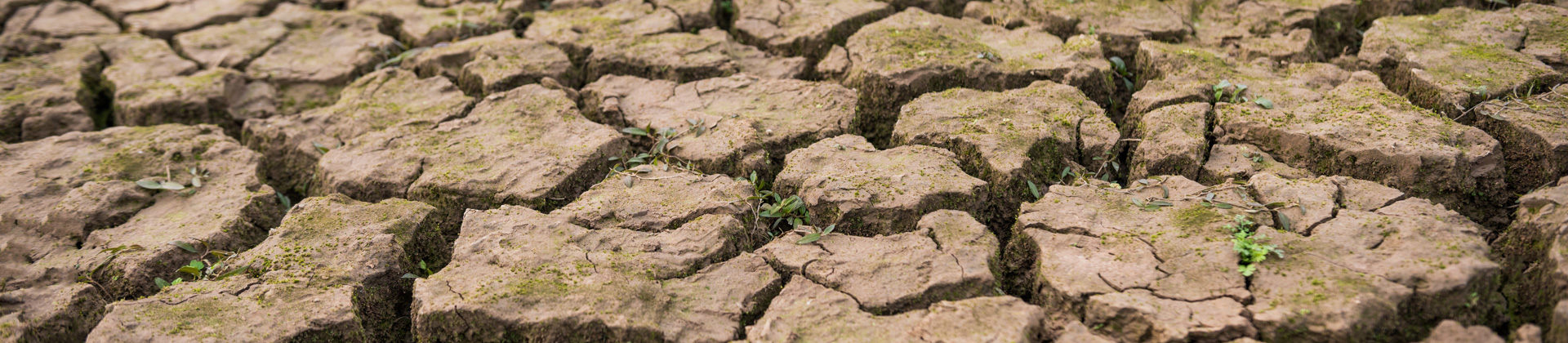 How to Prevent Soil Erosion: Causes, Effects and Solutions