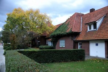 Bushes for Front of House: 15 Beautiful, Evergreen Choices