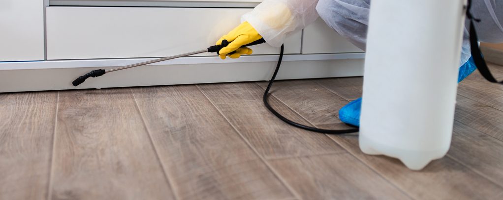 Termite Inspection Report Before Closing: Roles to Understand