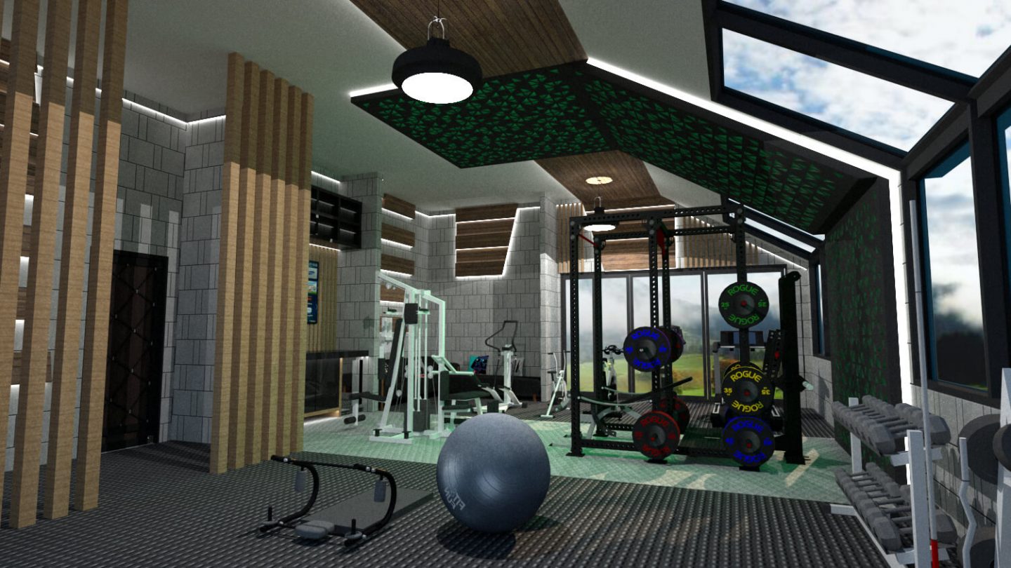 Big Home Gym Ideas: An Expert Architect’s Dream