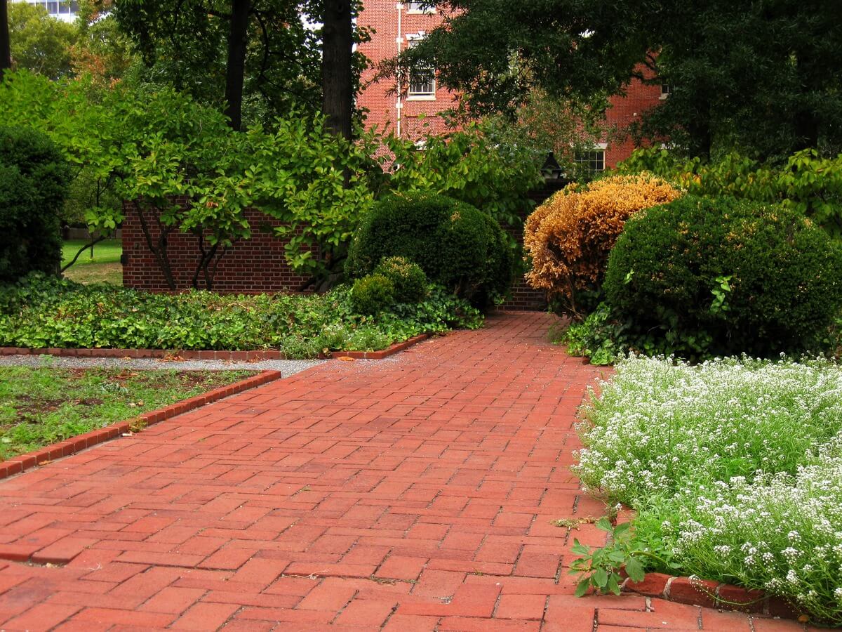 Uneven Brick Pathway