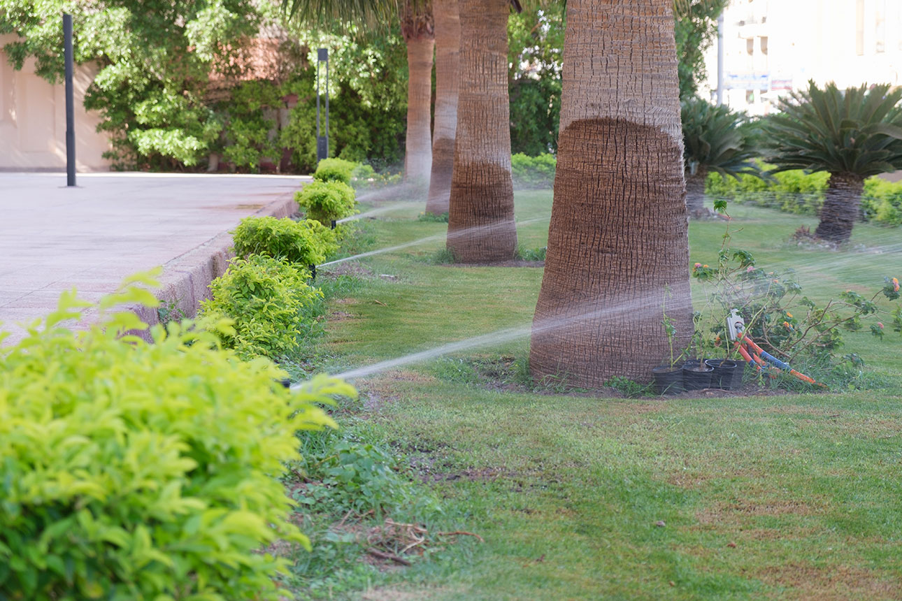 Maintenance of Sprinkler System: Your Go-to Guide