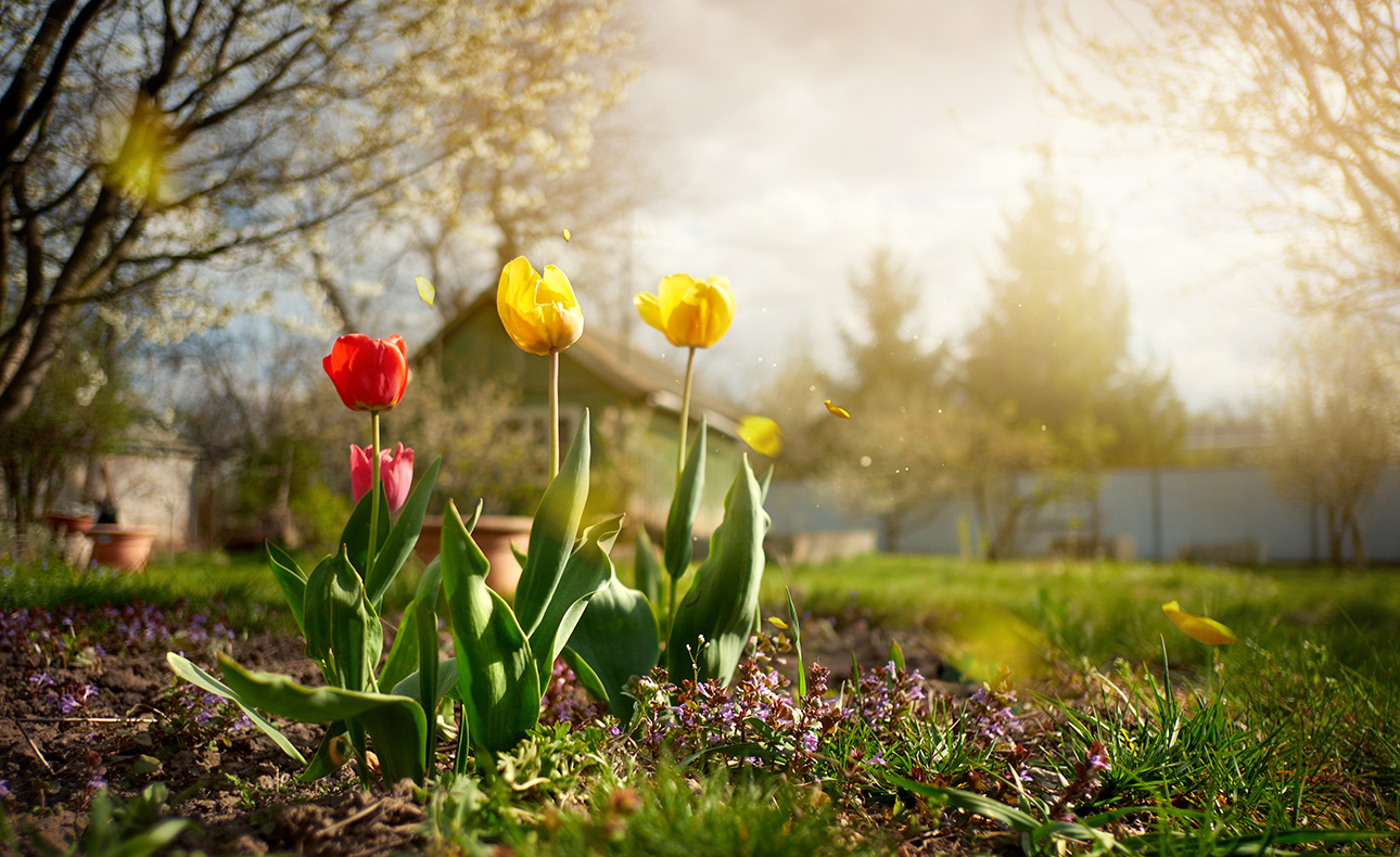 How to De-winterize Your Home Systematically?