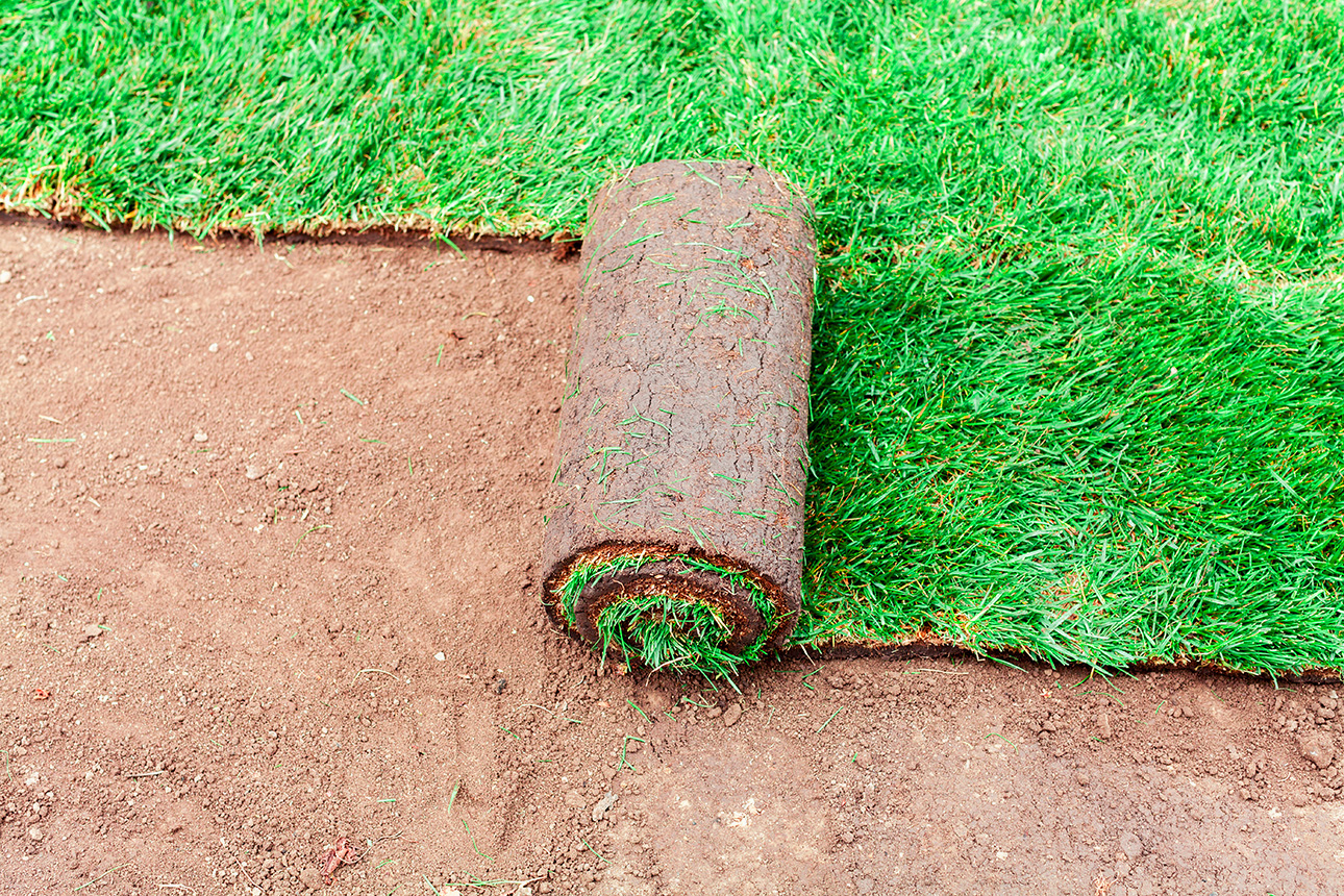 Step-By-Step Guide for Hiring Sod Installers