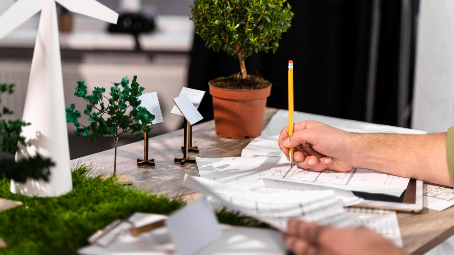 Large-Scale Landscaping Projects: What to Know